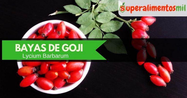 Goji Berry, Bayas de Goji - [PODEROSO SUPERALIMENTO CHINO]